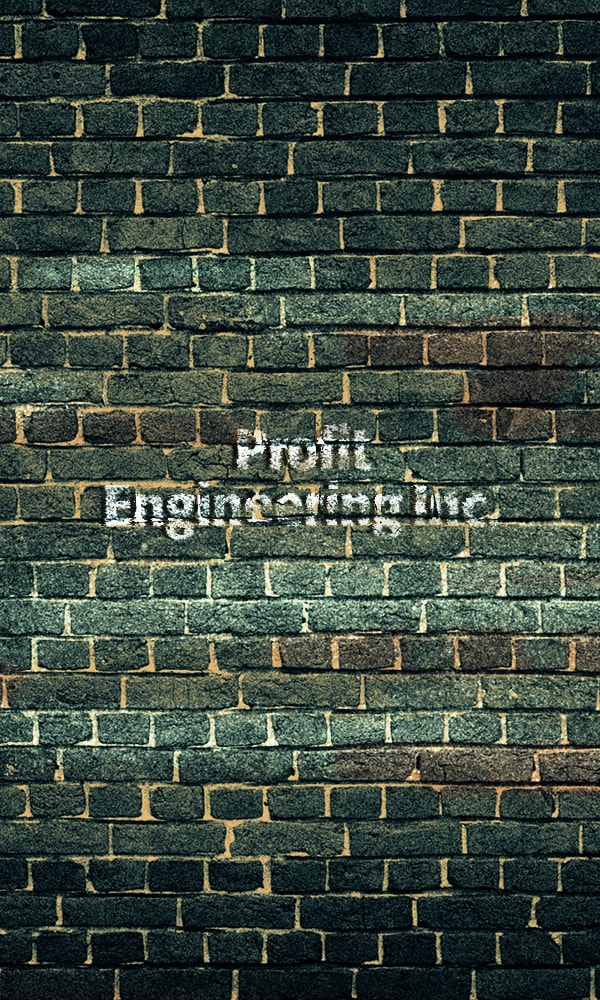 Profit Engineering Inc.